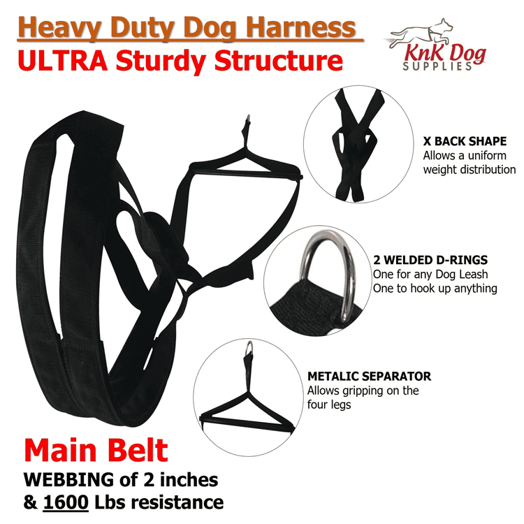 The Best Dog Pulling Harness in 2024 – KnK Dog Supplies